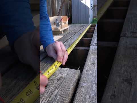 Replace Rotted Deck Boards