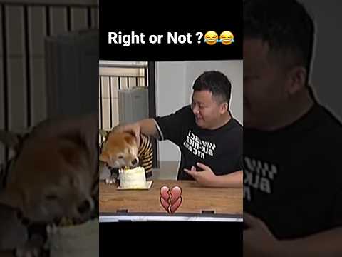 Funny videos so funny TikTok videos #mobile #viral #funny #funnyshorts #funnyvideo #tiktok #viral