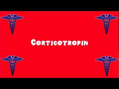 Pronounce Medical Words ― Corticotropin