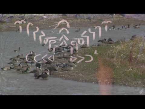 Cree writing practice | Wordsummit