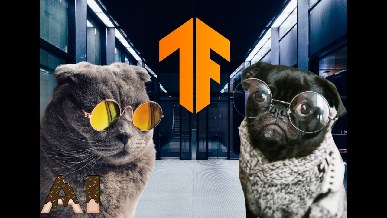 Cats&Dogs 1: Kaggle API Configuration and Data Loading