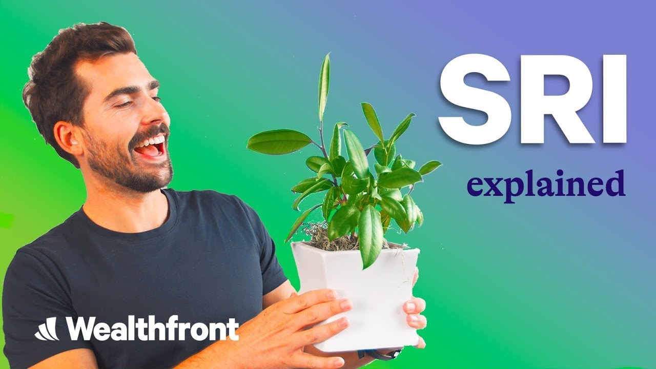 SRI: How Can I Invest in a Socially Responsible Portfolio?