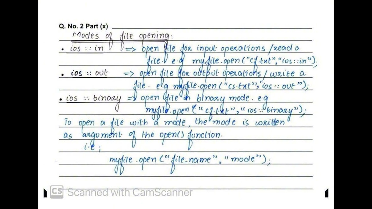 Computer Science 11th Topper E-Sheet Federal Board #fbise #computer #college 