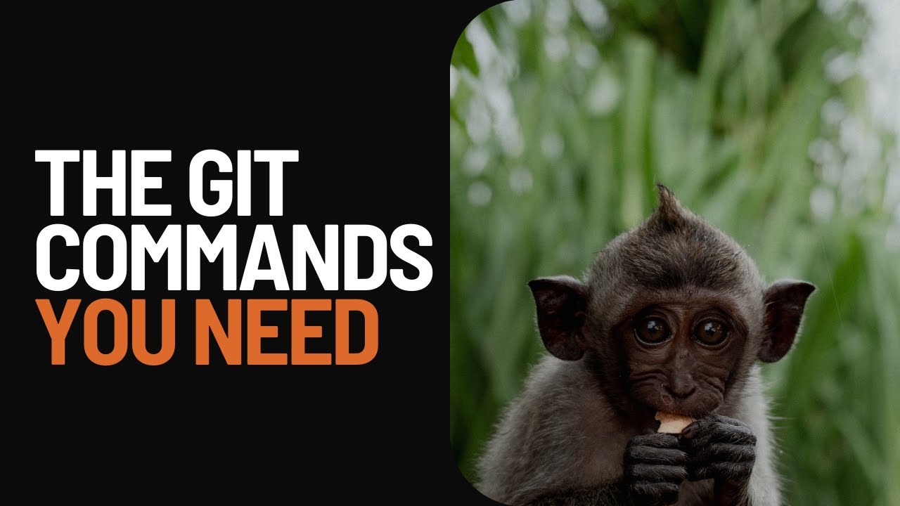 The Only Git Commands You Need!