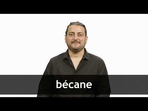 English Translation of “BÉCANE” | Collins French-English Dictionary