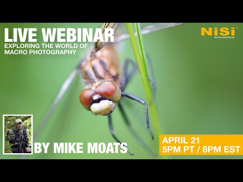 Exploring the World of Macro Photography Webinar by Mike Moats