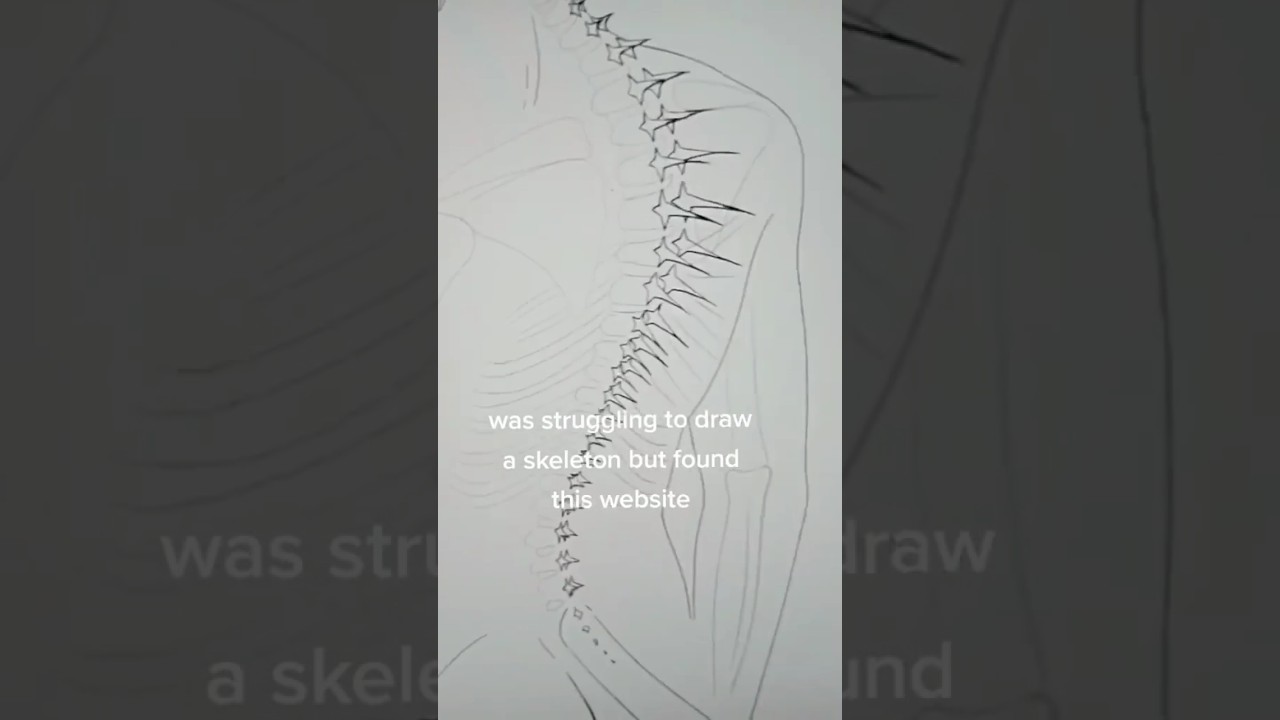 This Is Awesome For Anatomy Studies#art  #digitalartist#originalcharacter #howtodraw #anatomy