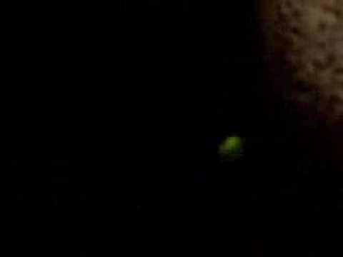 Firefly in Japan