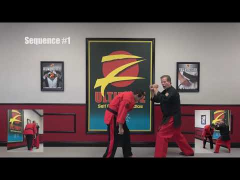 Welcome to Z-Ultimate Bunkai!