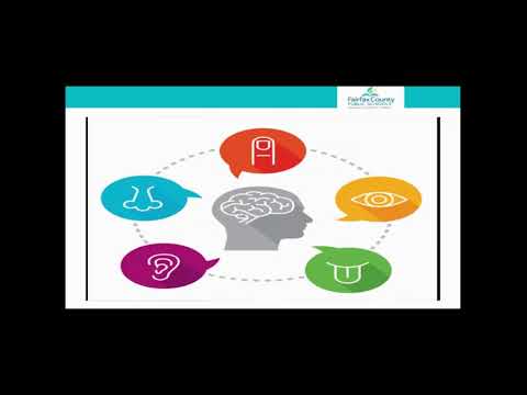 Substance Use Prevention and Encouraging Healthy Brain Development