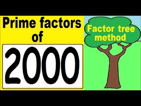 Prime factors of 2000. Prime factor decomposition of 2000. Factor tree method.