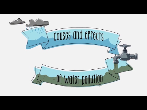 Causes and effects of water pollution - Sustainability | ACCIONA