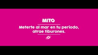 Guadalupe Perotti - Saba