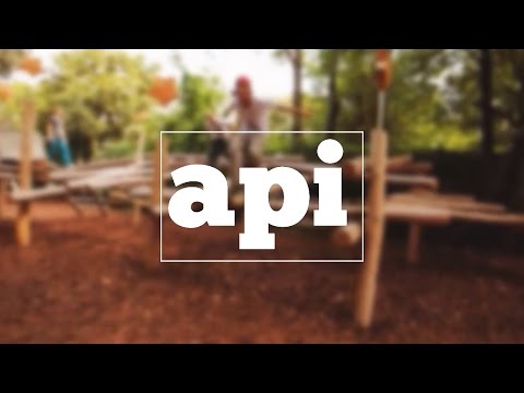 api spelling and pronunciation