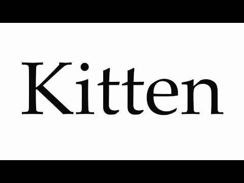 How to Pronounce Kitten