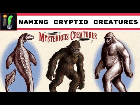 HOW TO NAME A MYSTERY- Taxonomania. Naming cryptic creatures!