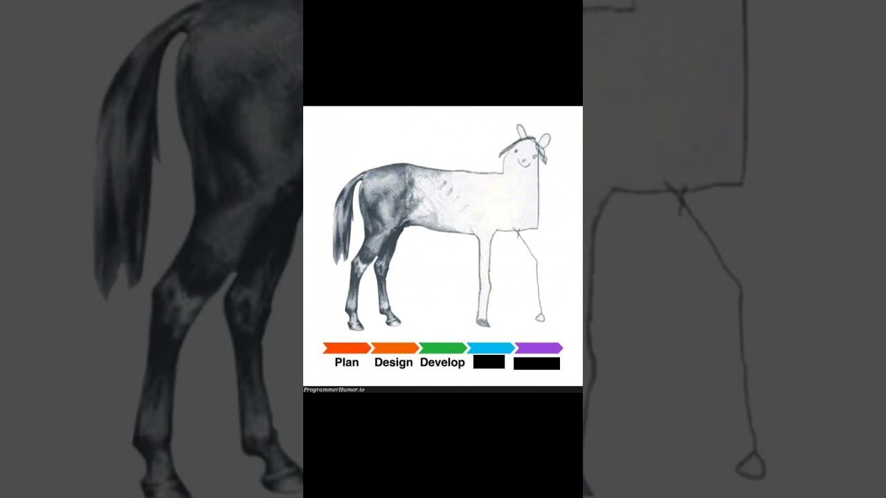 Expectations vs Reality #programmerhumor #shorts #short