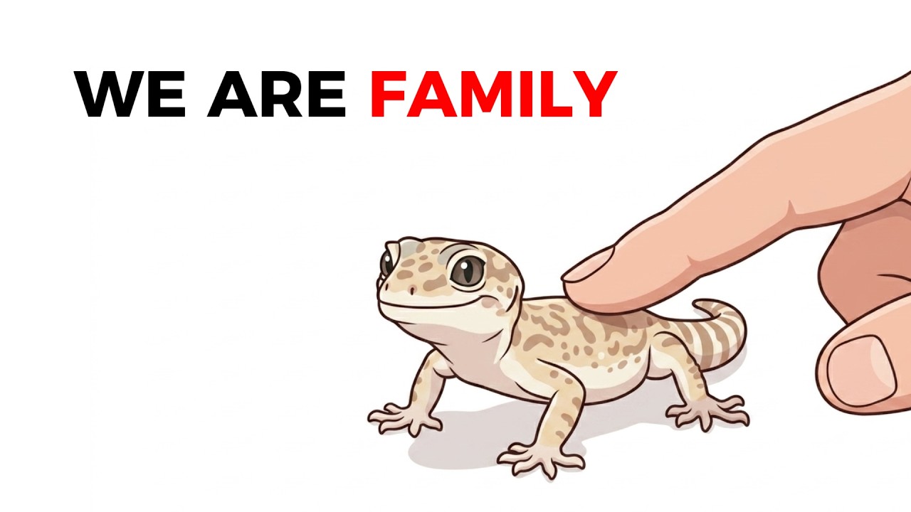 Why don’t lizards bite you?
