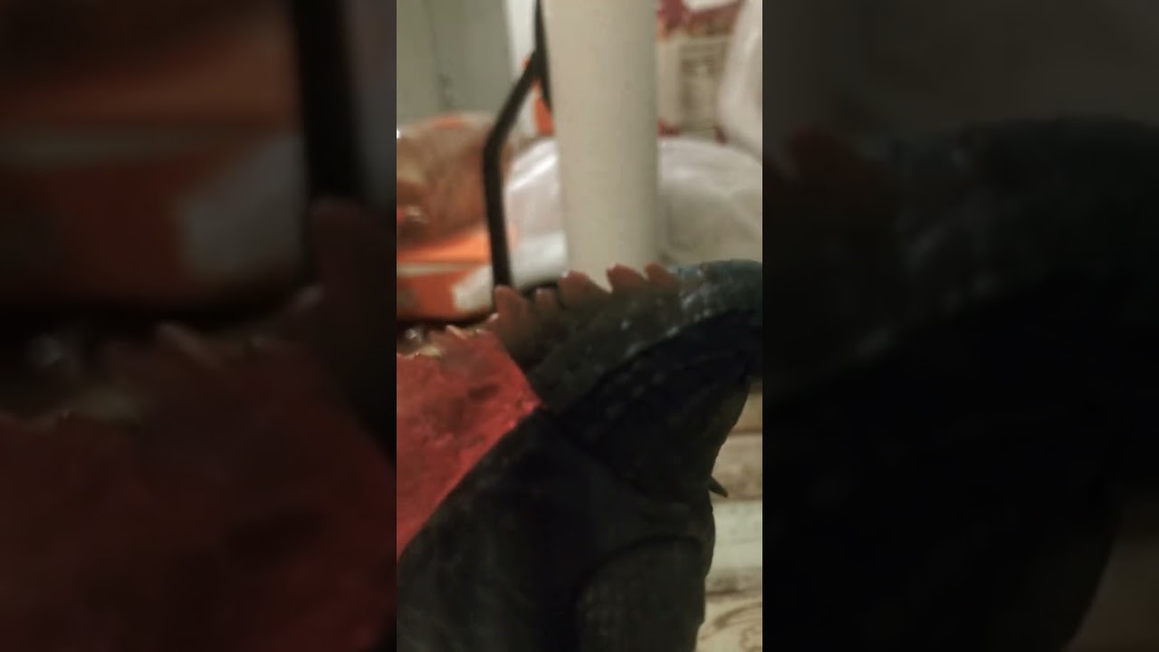 Godzilla evolved atomic breath