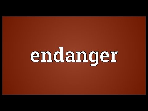 Endanger Meaning