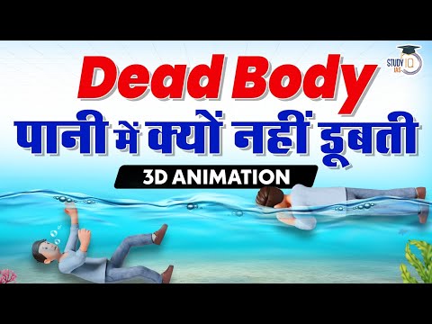Why Dead Body Floats on Water in Hindi? | 3D Animation | StudyIQ IAS