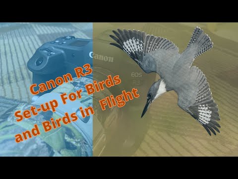 Canon R3: Bird photography setup (4895C002)