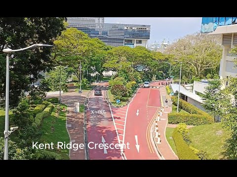 Singapore Vlog ~ Listen to the sound of crickets at NUS