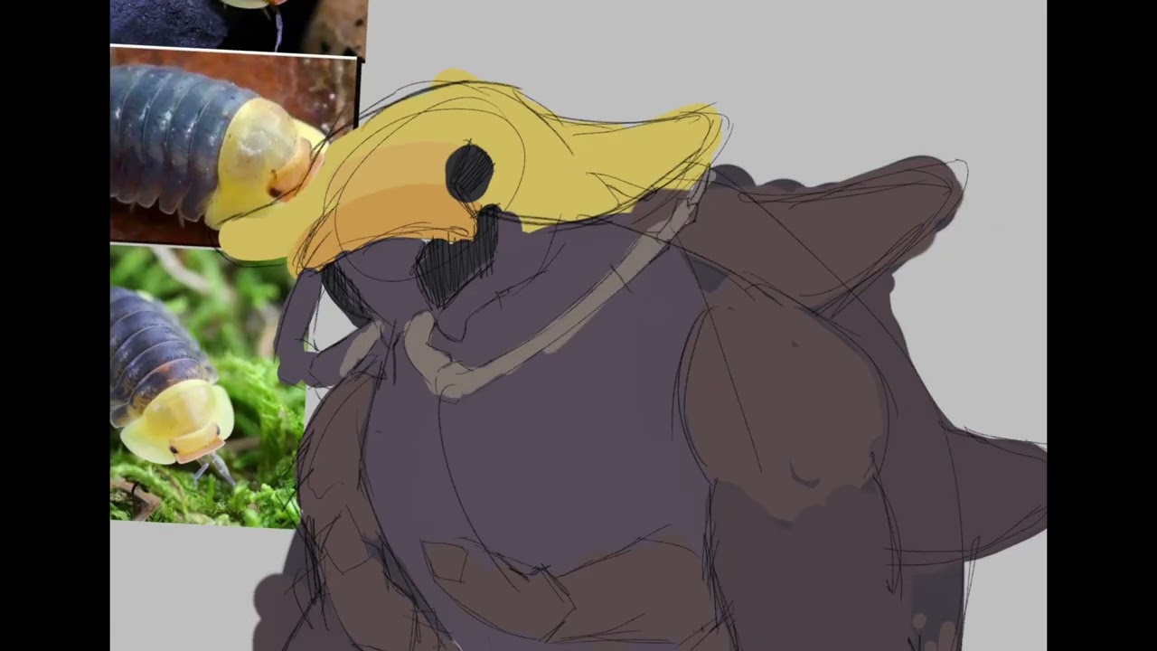 DND character design!