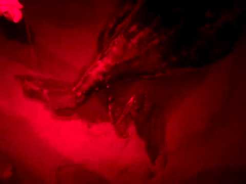 Sea turtle jump rope and washing machine – Sea Turtle Ecology