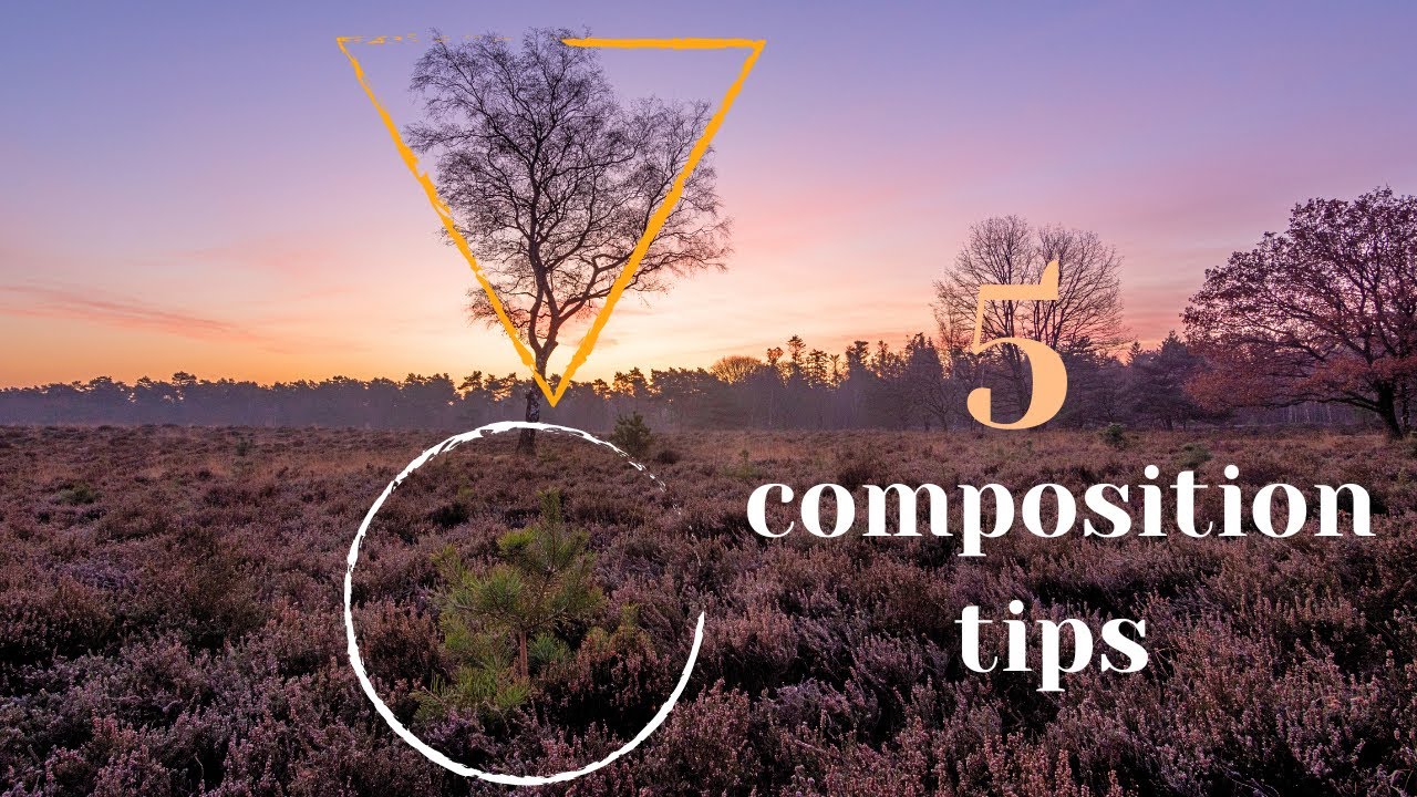 5 Composition RULES for LANDSCAPE Photography