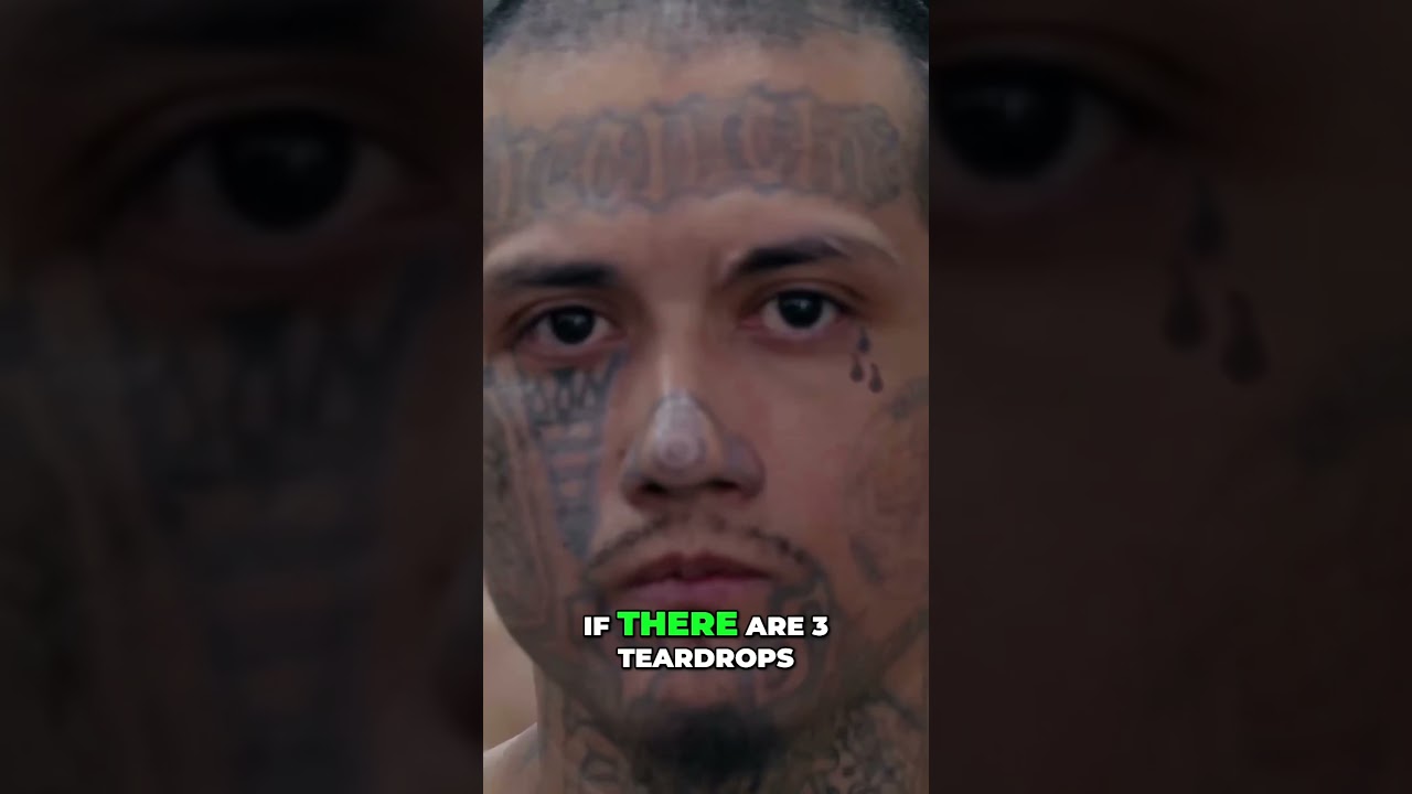 Prison Tattoo Meanings What They REALLY Say About Inmates!  #wildlife #viral  #tattoo