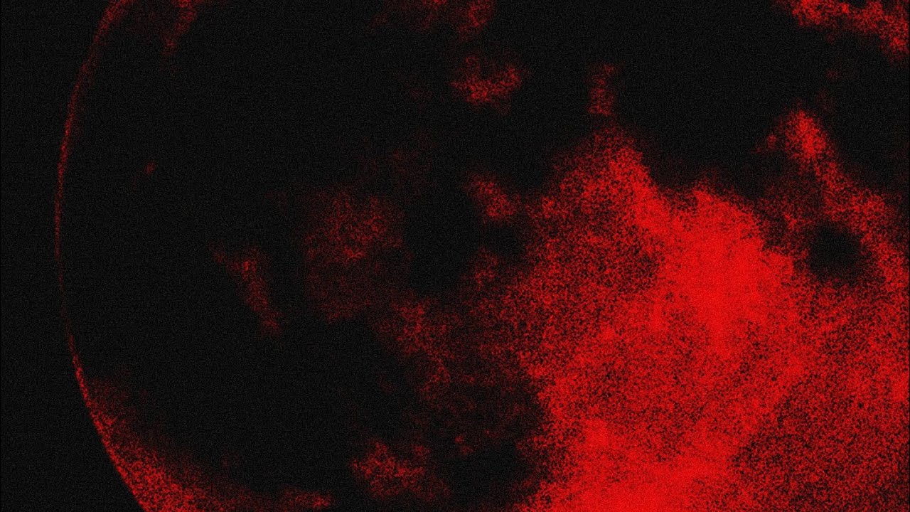 NuBiX & Kinoto Kyoryu - Bleed (Audio)