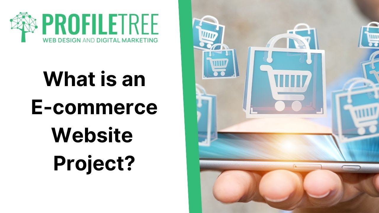 What is an E-commerce Website Project? | Guide to E-commerce | eCommerce | How to Build a Website