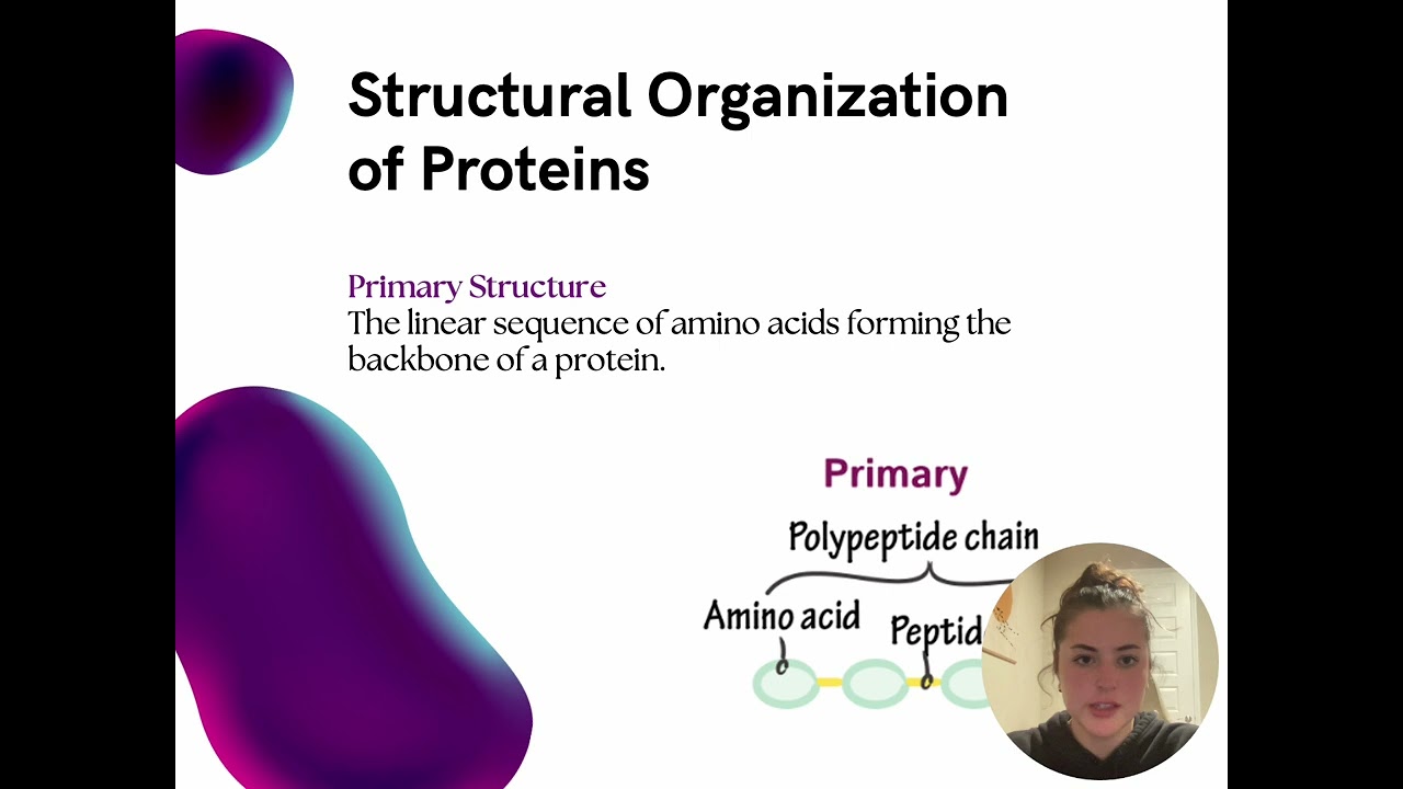 biochemistry midterm powerpoint with video