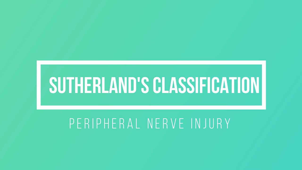 Peripheral Nerve Injury - Anatomy - Sutherland Classification | Peripheral Neuropathy|