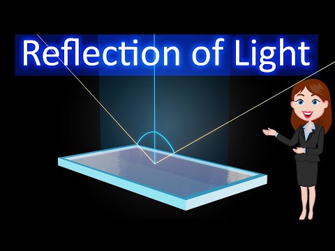 Reflection of light || Animated explanation in hindi || Ray Optics || Physics || 12th class ||