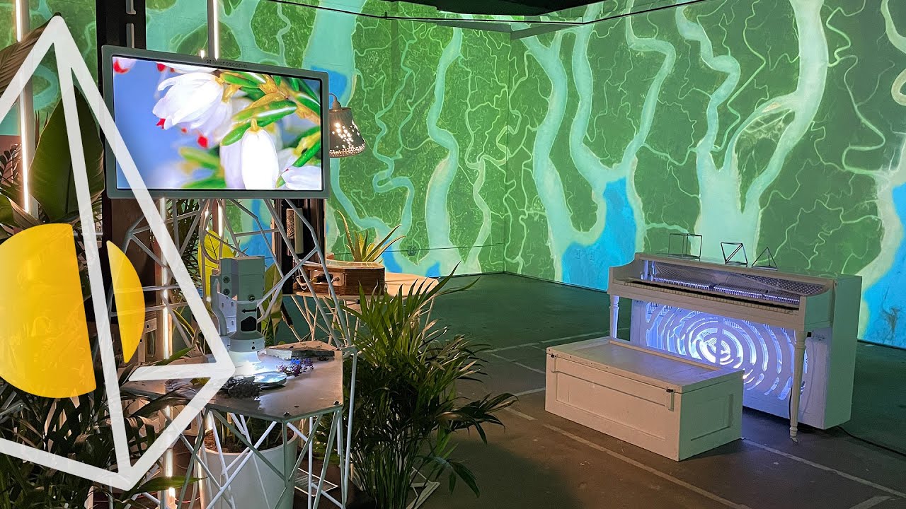 ILLUMIBRATE Immersive Projection Room