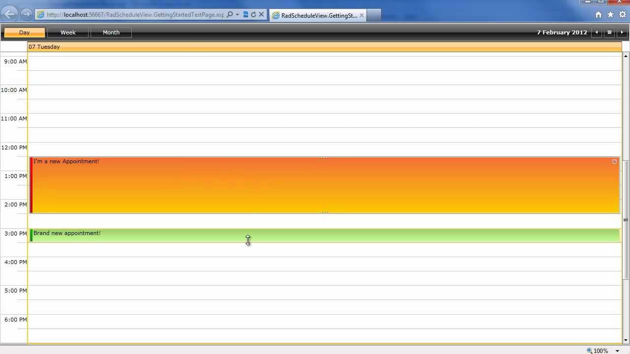 ScheduleView - Part 1: Getting Started (Silverlight & WPF)