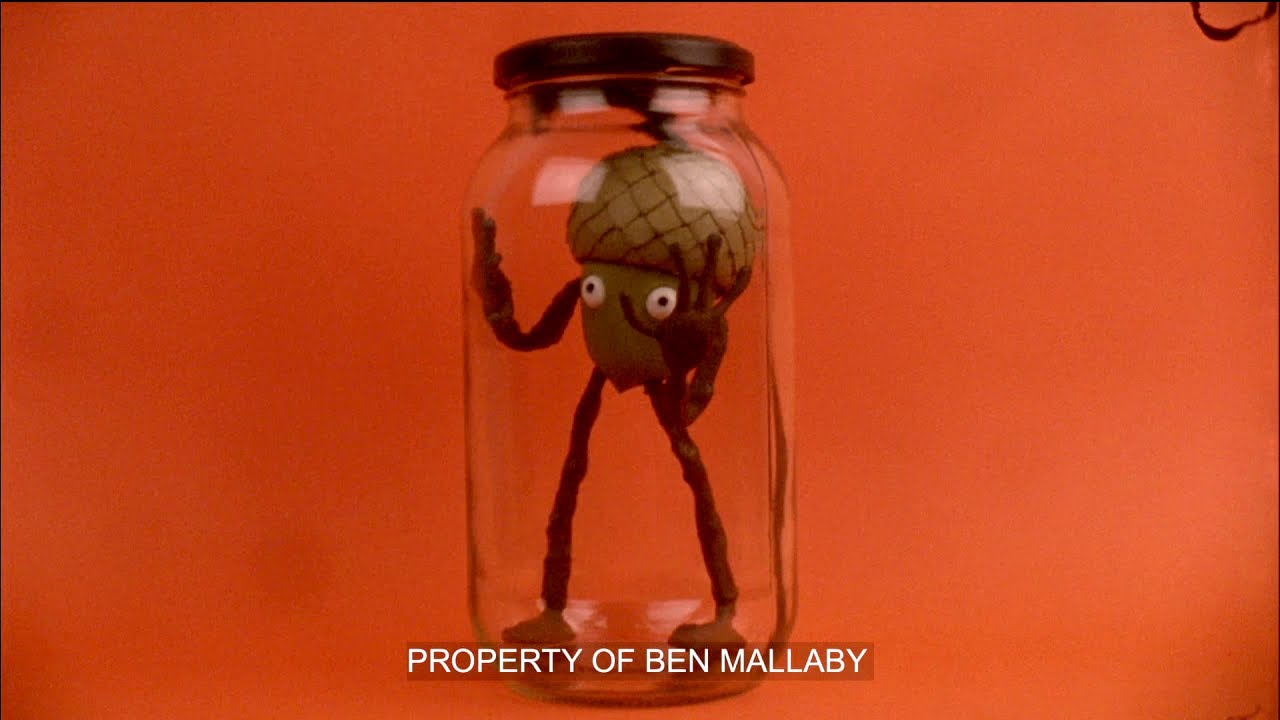 Squirrel Island VJD version 2024