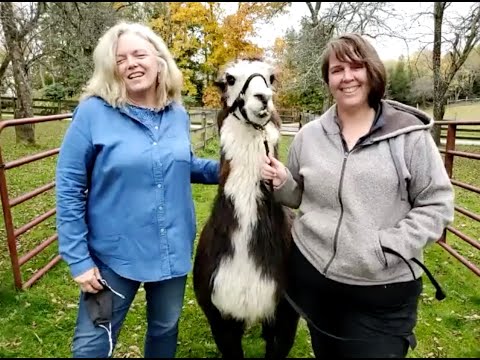 Peek Pro Case Study: Apple Hill Farm