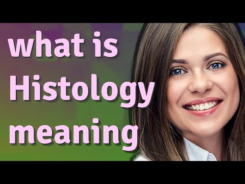 Histology | meaning of Histology