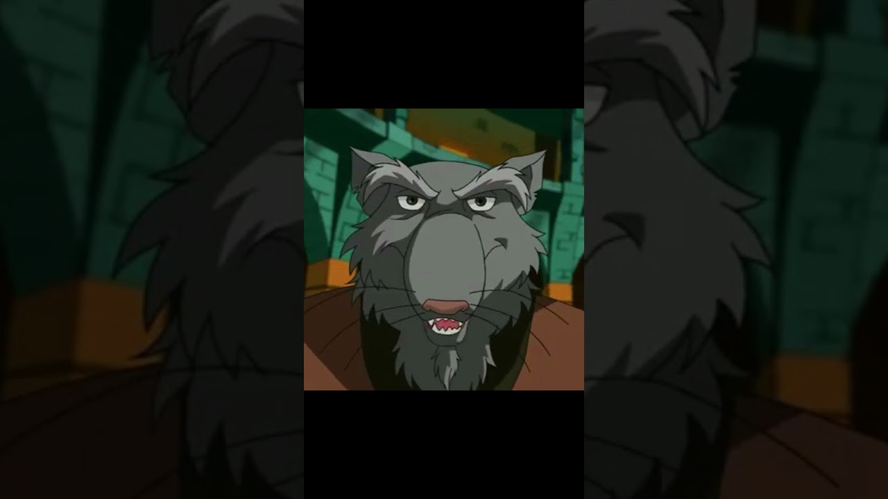 Funny quotes of Master Splinter #tmnt #tmnt2003 #tmnt2012 #tmnt1987