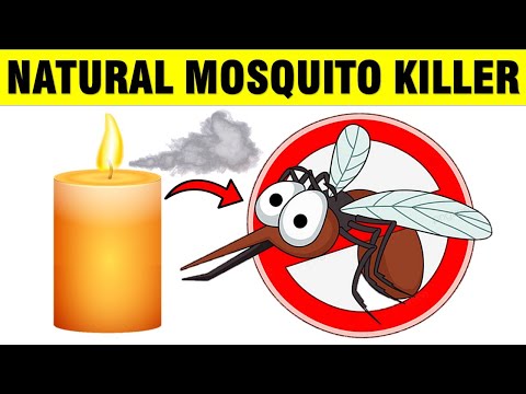How To Get Rid Of Mosquitoes in Your Yard Naturally