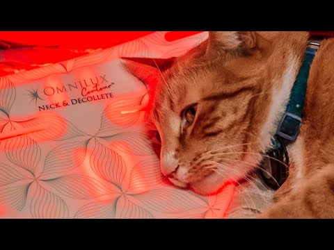 ❤️OMNILUX❤️