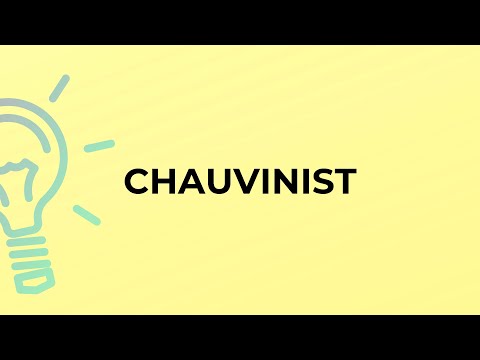 What is the meaning of the word CHAUVINIST?