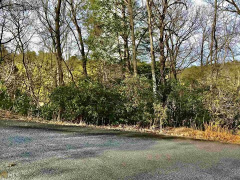 Lots And Land at 000 Shenendoa # 166, Ellijay, GA 30540 - For sale