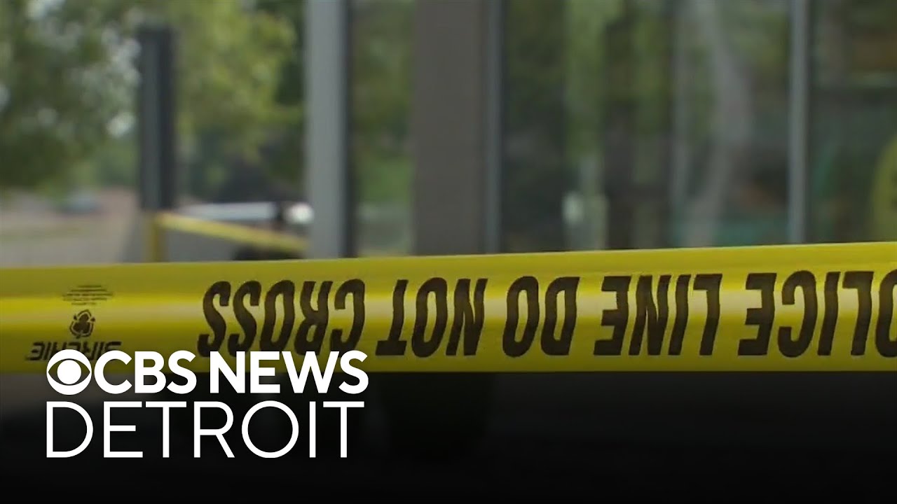 Family member of victim in fatal Eastpointe McDonald's stabbing brings knife into courthouse