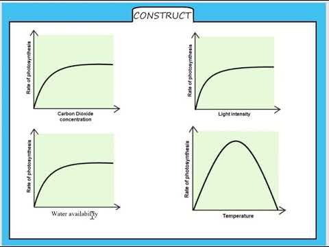 B4 5 Limiting Factors of Photosynthesis