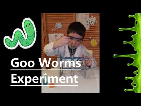 GOO WORMS SCIENCE EXPERIMENT – Fun Time Lab™
