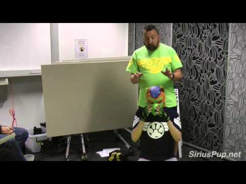 Human Puppy Play World Wide – A Site About Human Pup Training